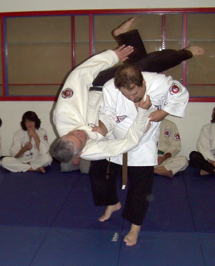 About BJJ - Budoshin Ju-Jitsu - The Gentle Art of Self Defense
